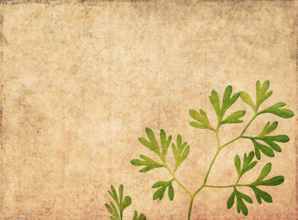 Earthy floral background image and useful design element Stock Photo by ...