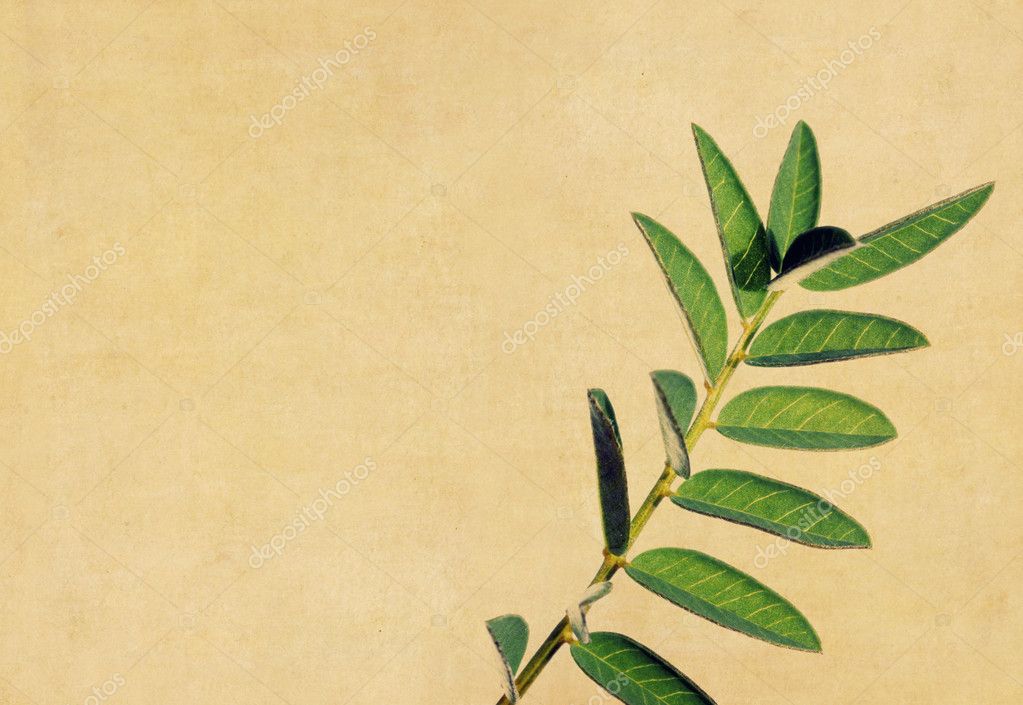 Earthy floral background image and design element Stock Photo by ...