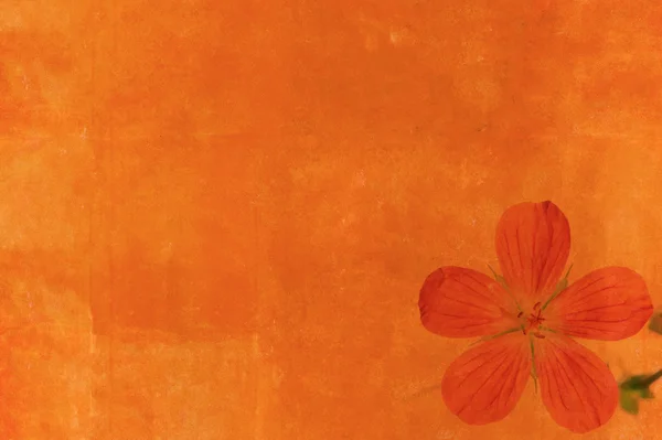 Lovely background image with floral elements and butterfly. very useful ...