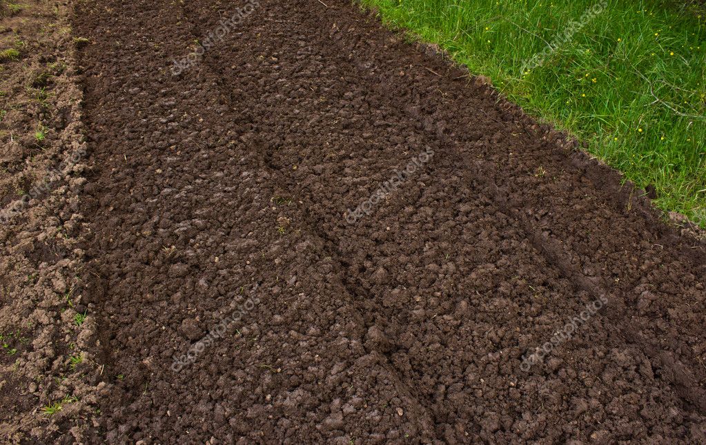 Preparing field for the planting season — Stock Photo © nbiebach #11027585