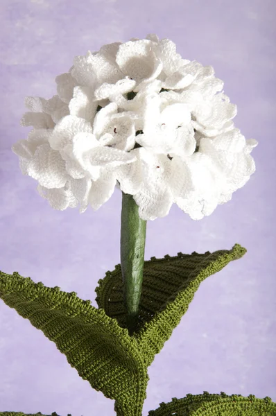 Crochet flowers hellebores — Stock Photo © motorino125 #11804795