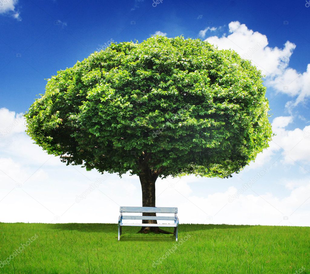 Beautiful big tree — Stock Photo © violetkaipa #10909732