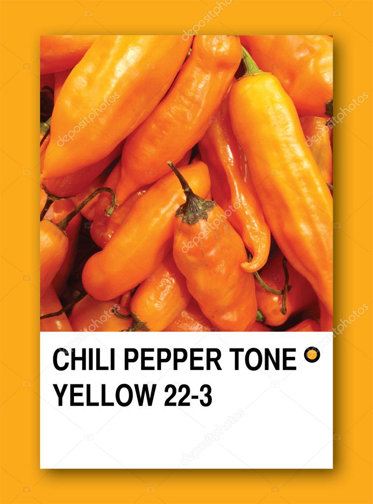 CHILI PEPPER TONE YELLOW. Color sample design — Stock Photo © designfgb ...
