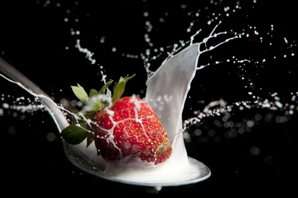 Strawberry cream splash 1 — Stock Photo © RosteckM #2538102