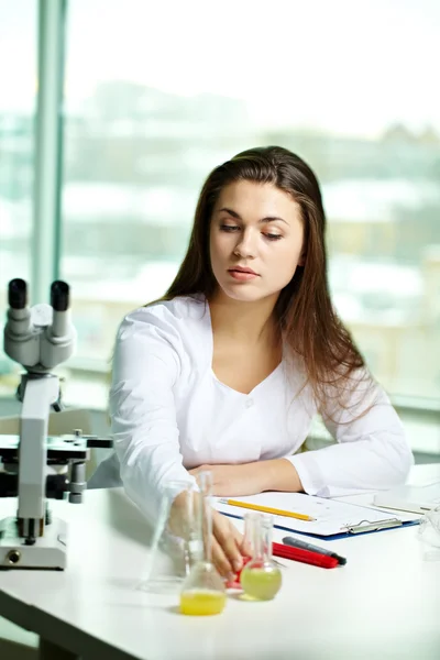 During work - Stock Image - Everypixel