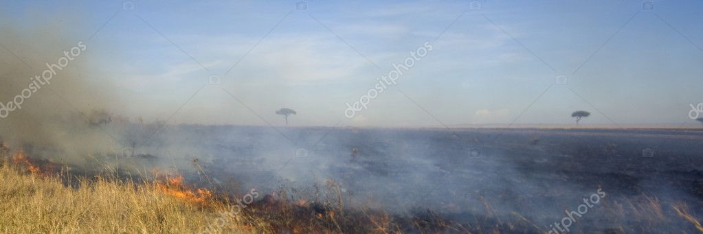 Fire at Masai mara Kenya Stock Photo by ©lifeonwhite 10869649