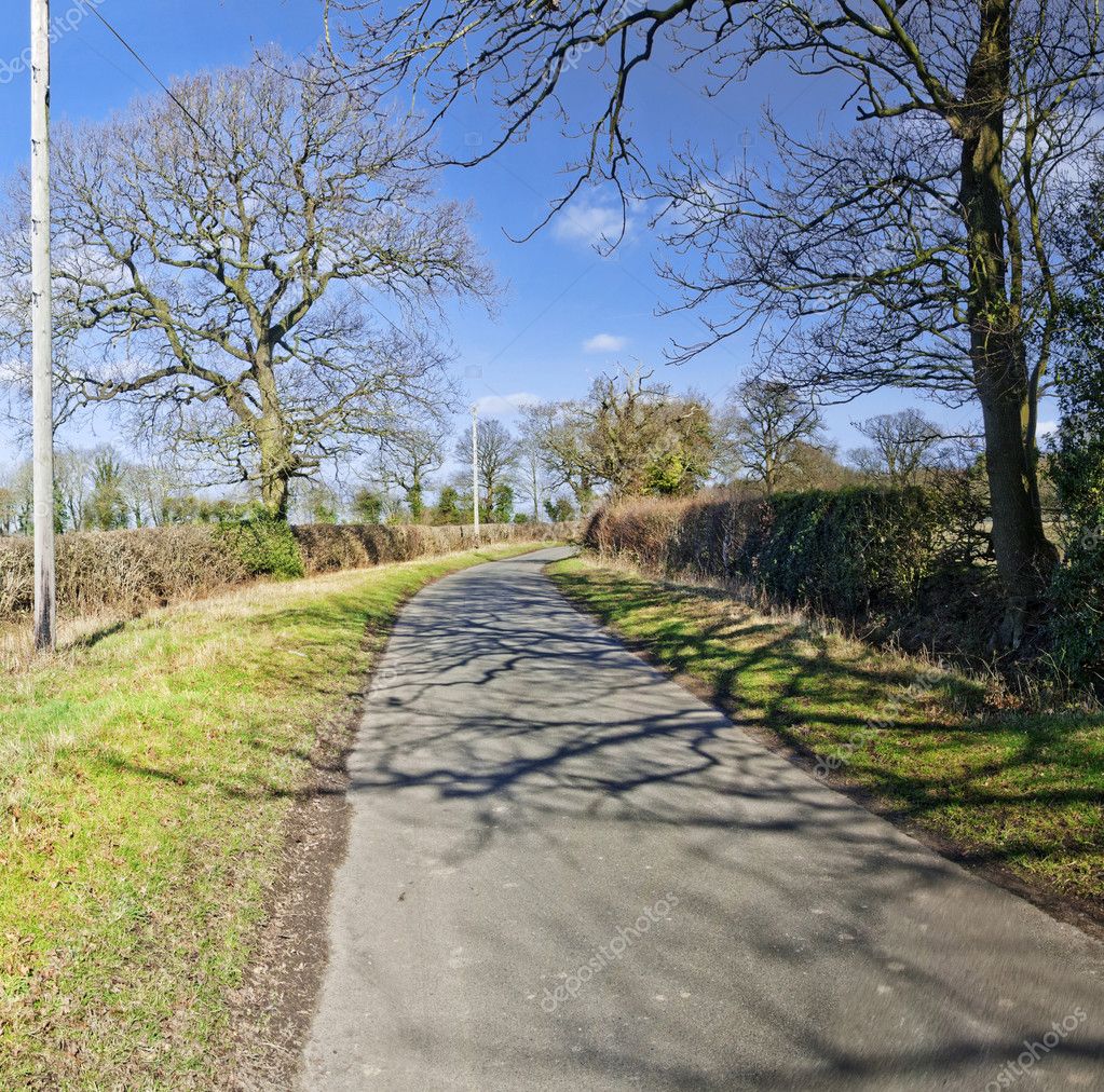 Country lane Stock Photo by ©davidmartyn 10813655
