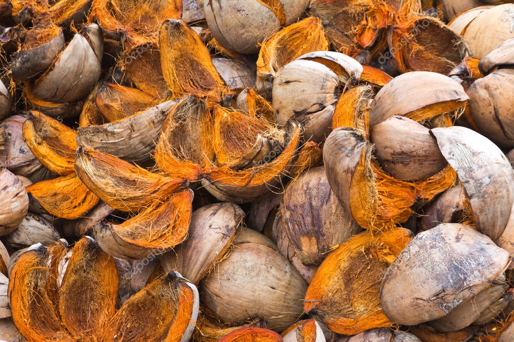 Coconut husk — Stock Photo #12203192