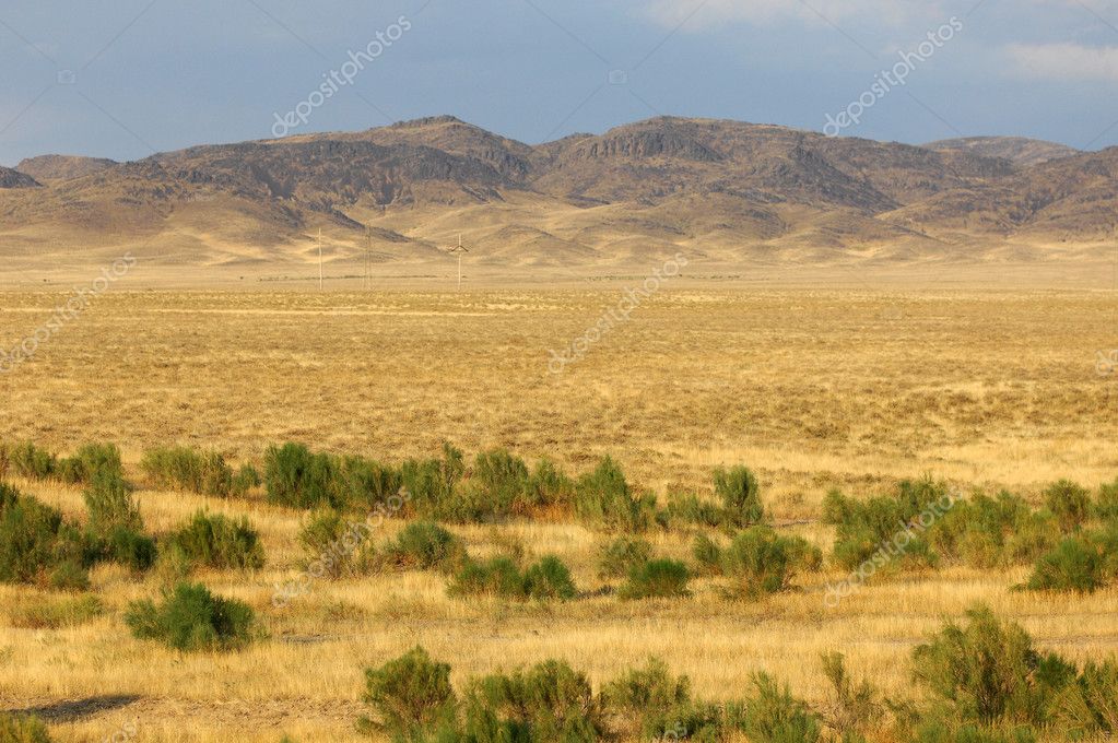Steppe — Stock Photo © ekina1 #10997360