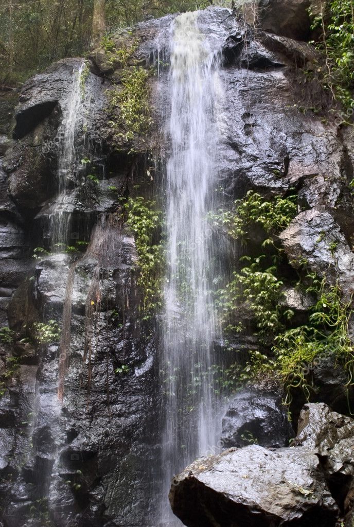 Waterfalls Bunya mountains Queensland — Stock Photo © byjenjen #11052152
