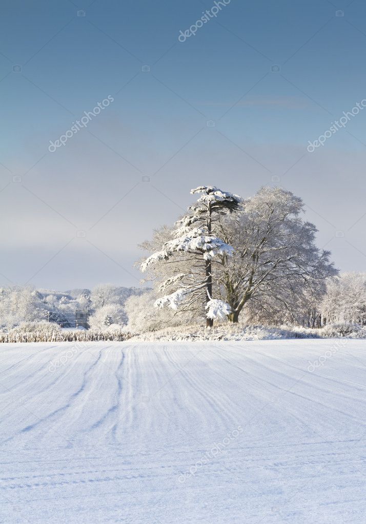 Snow Covered English Countryside — Stock Photo © Chrispo #11063054