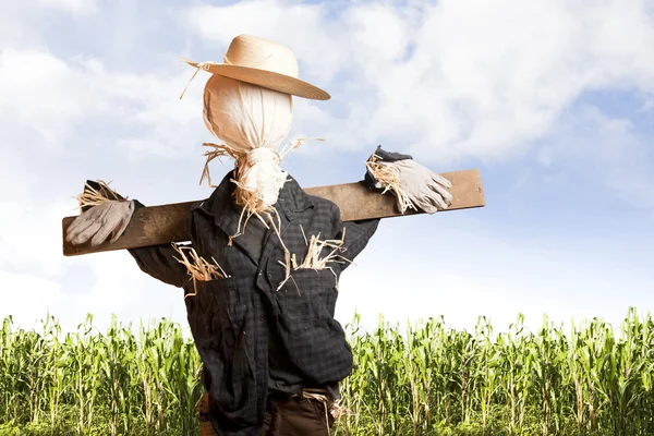 Scarecrow in field Stock Photos, Royalty Free Scarecrow in field Images ...