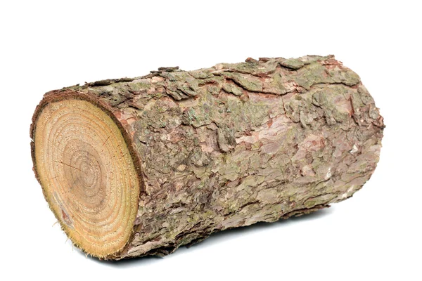 Wood log — Stock Photo © pejo #13609736
