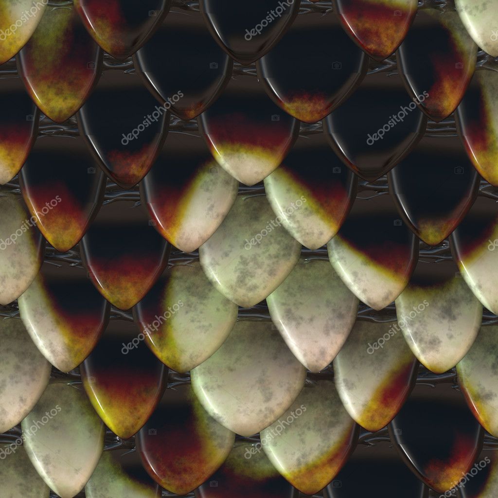 Colorful Snake Scales Close Up