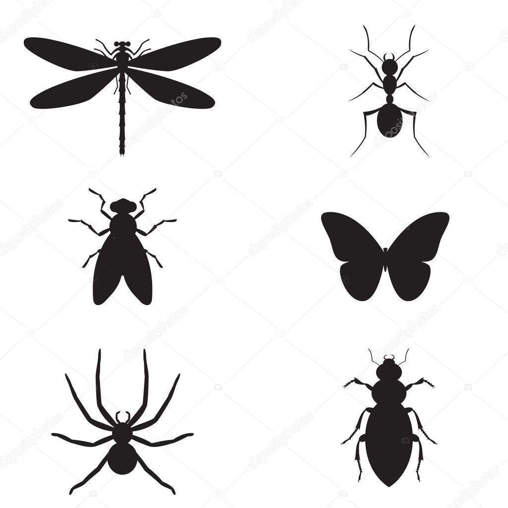Insect — Stock Vector © Roman_Sher #11680144